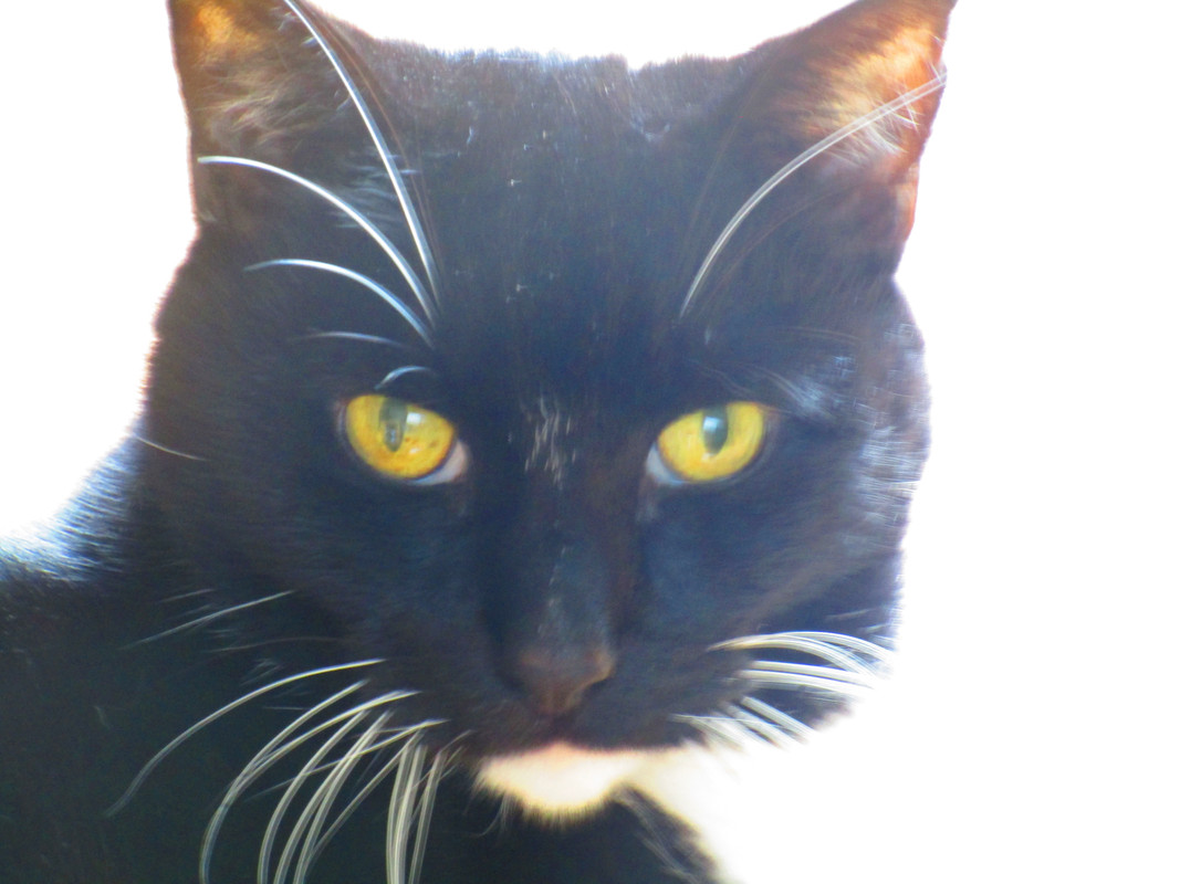 IMG 0150 — Postimages