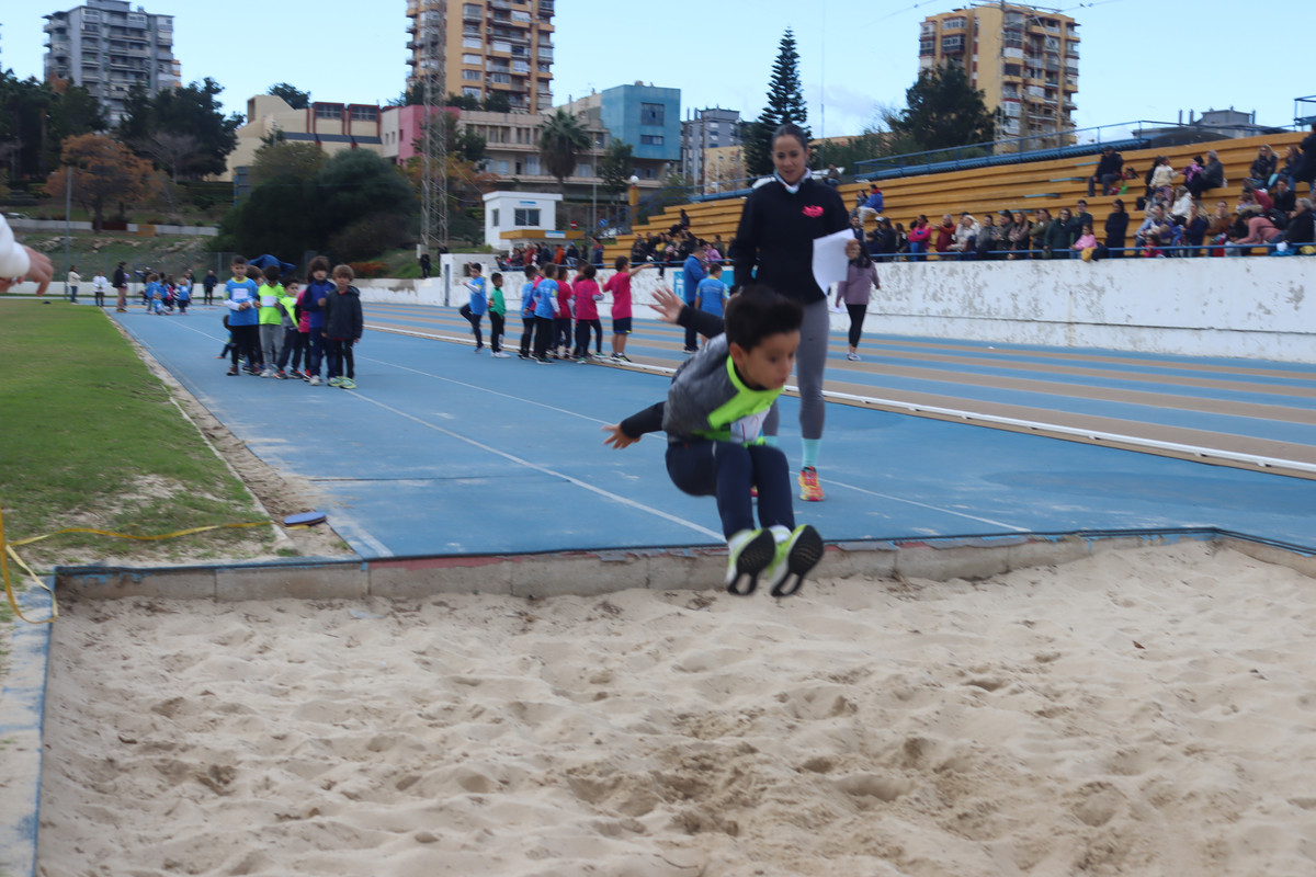 IMG 6938 — Postimages