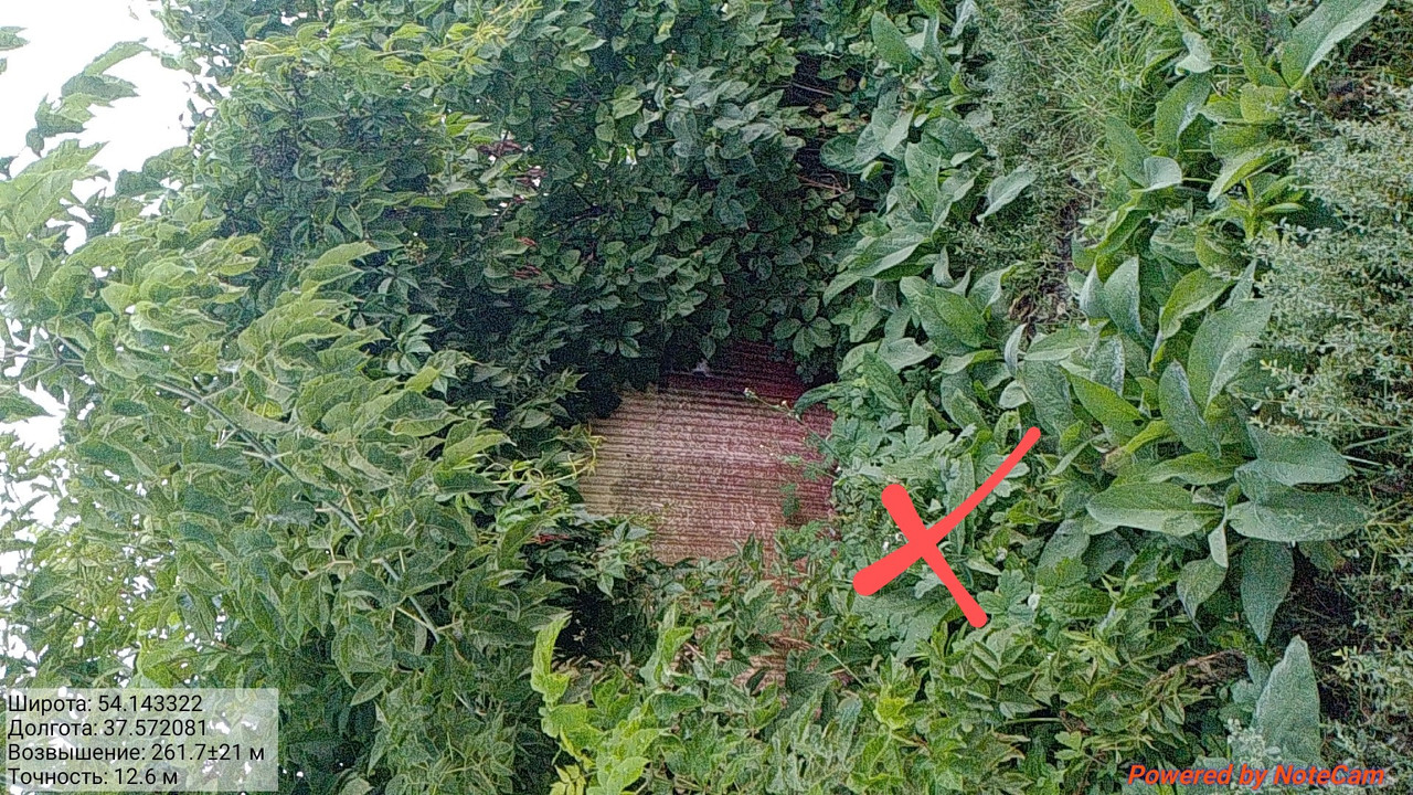 20230816 051246 2 — Postimages