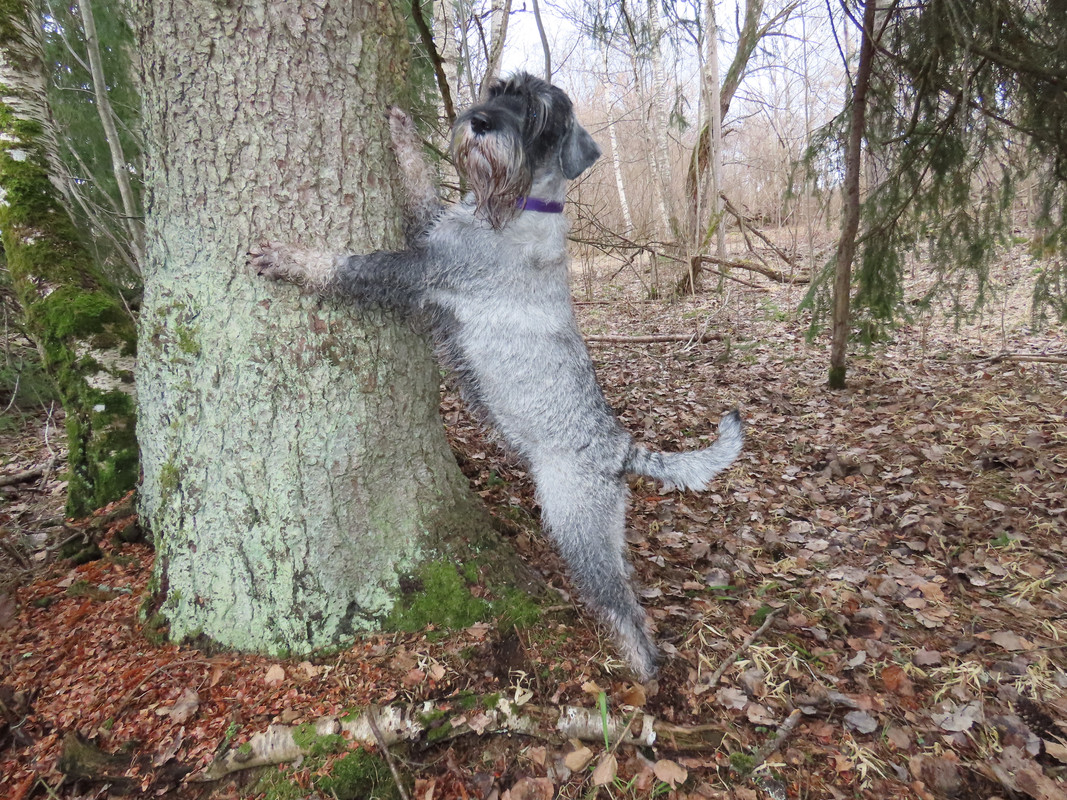 IMG 3900 — Postimages