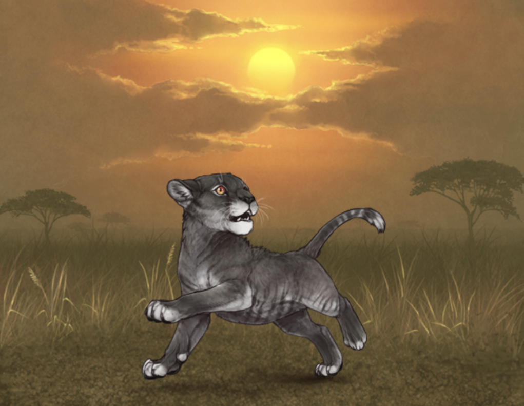 🐆Leopon Cub for Sale/Offers🐆 :|: Lioden