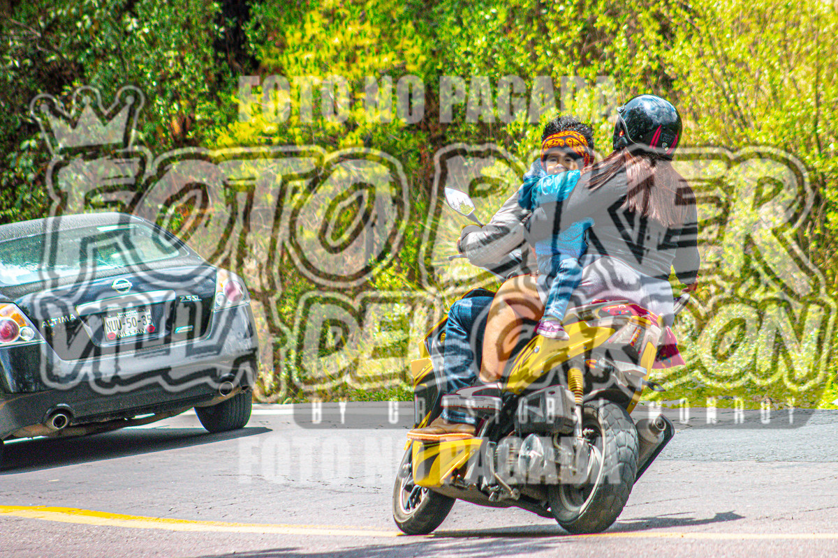 CVP2 95 — Postimages