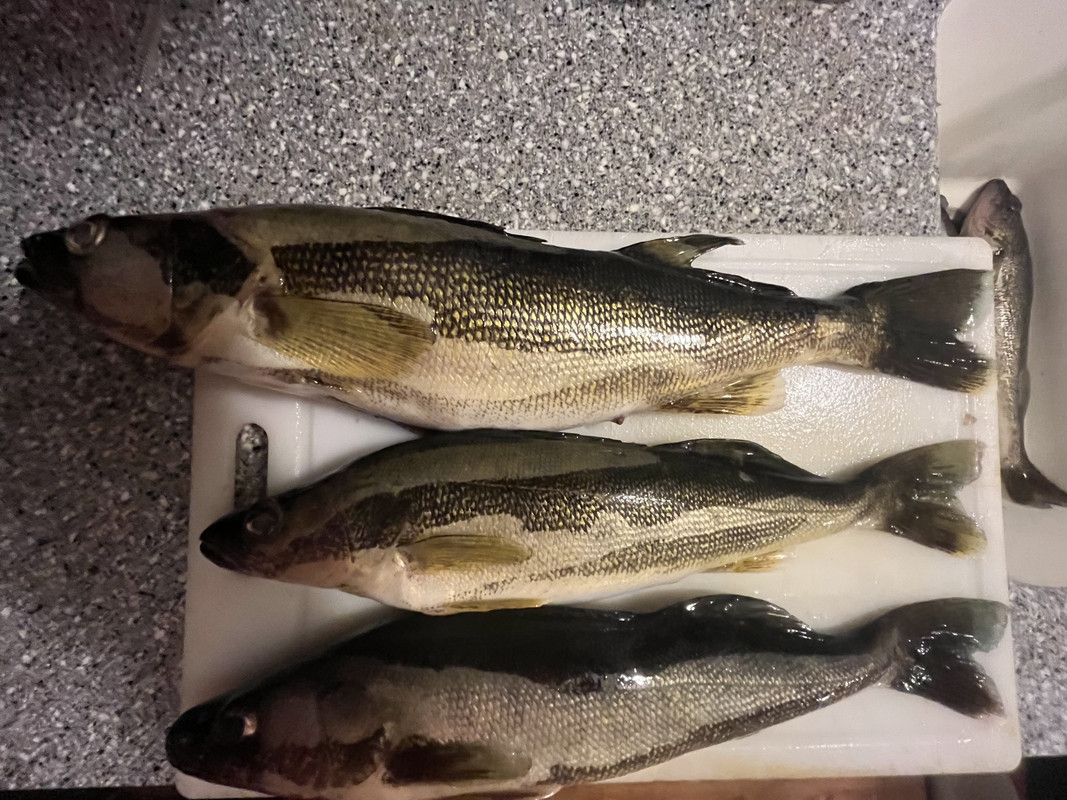 IMG 4083 — Postimages