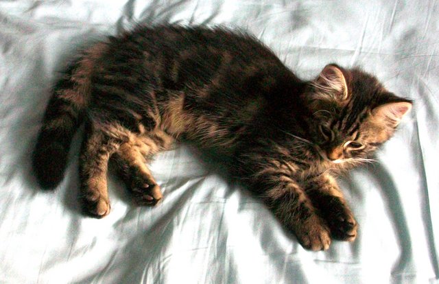 CSS David - Work in Progress - Maritime - Britmodeller.com