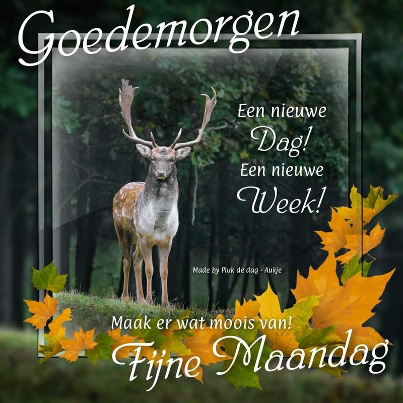 IMG 6684 — Postimages