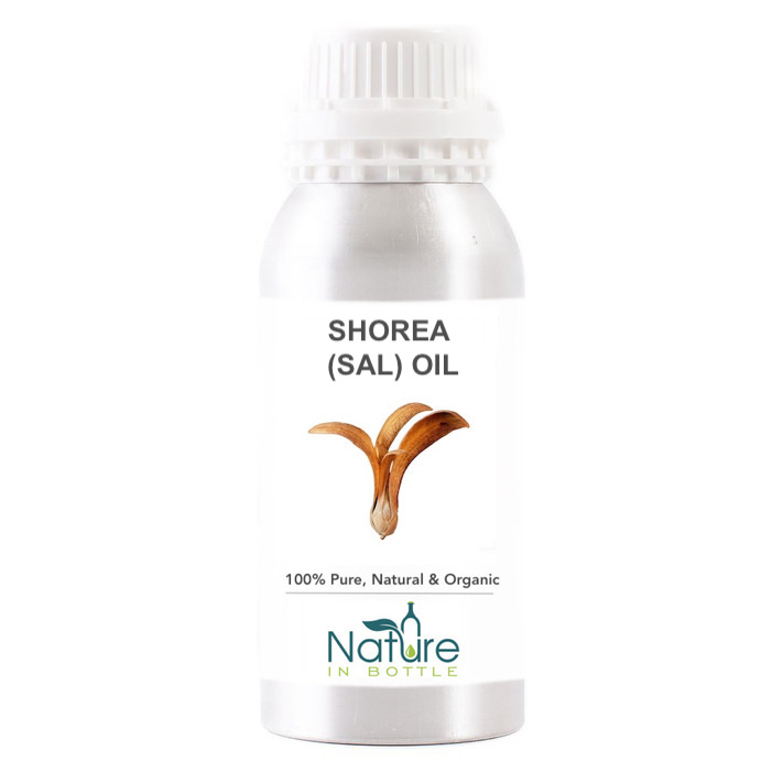 Sal Oil Organic - Shorea Robusta Seed Oil