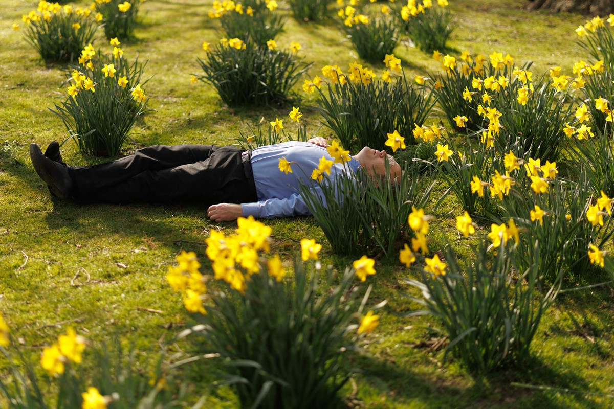 FARK.com: (13613630) Photoshop this man in daffodils