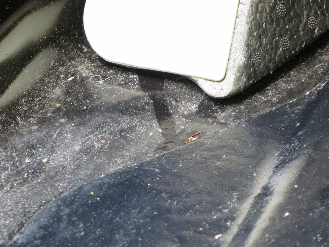 IMG 0345 — Postimages