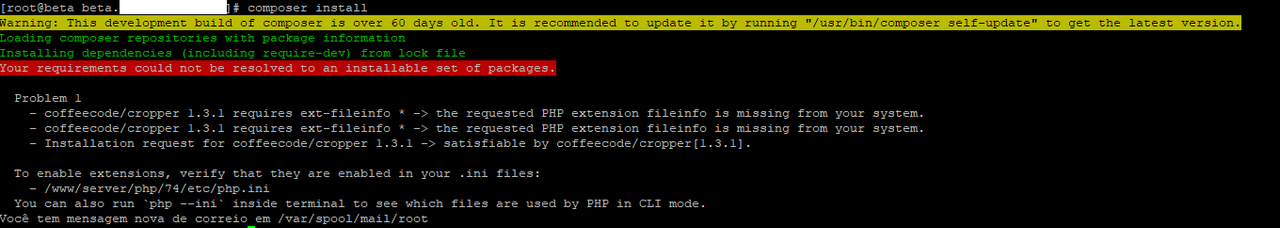 Problem To Use Composer Php Extension Fileinfo Aapanel Free Hosting
