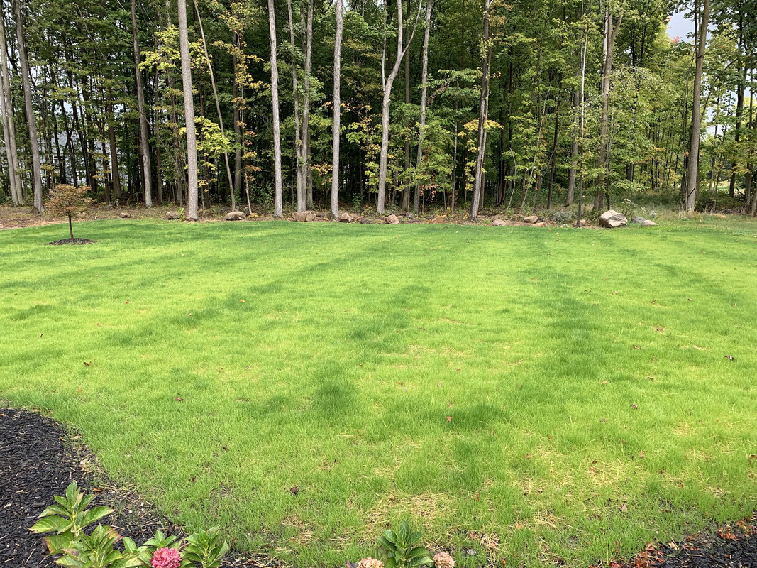 vw MLOOUSjm NUpmc AP bw — Postimages