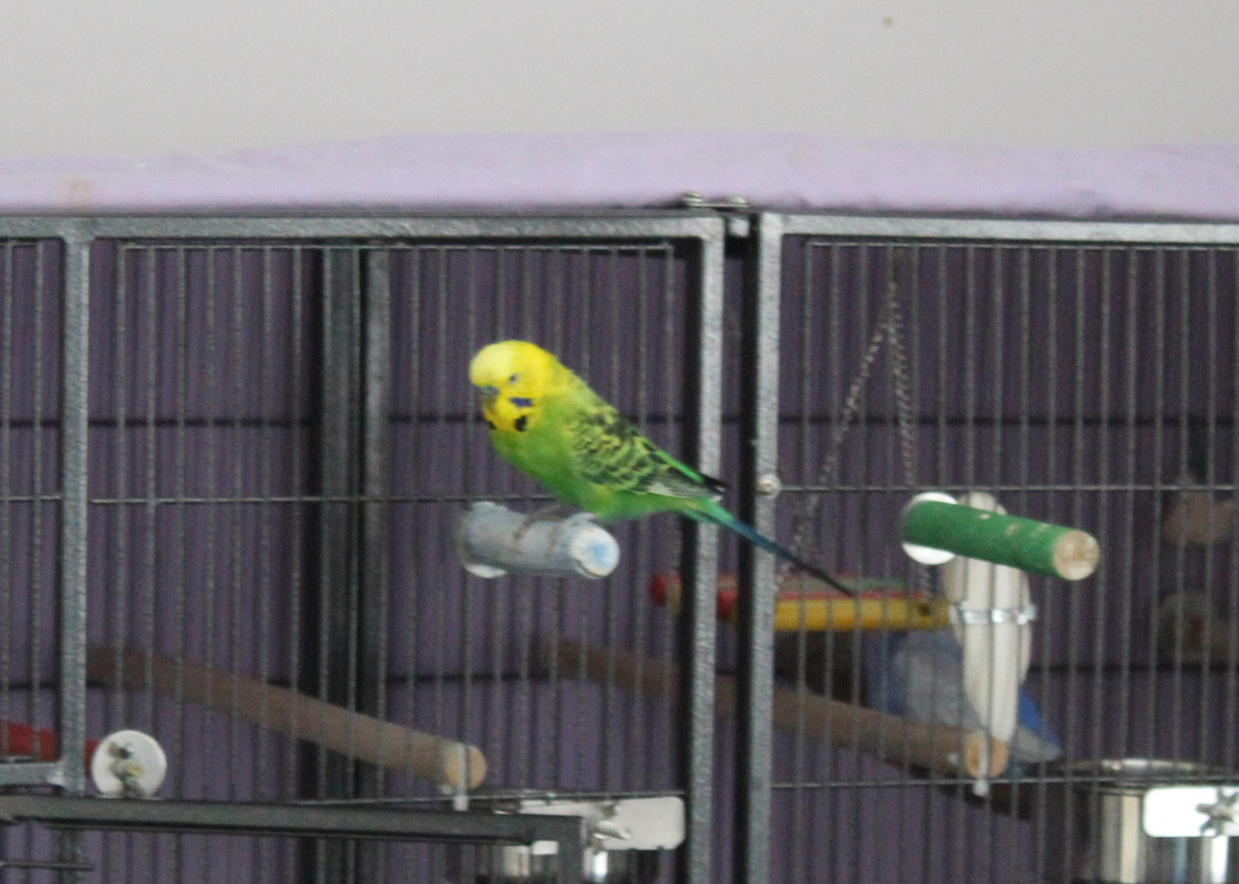 20231010122542 IMG 1297 — Postimages