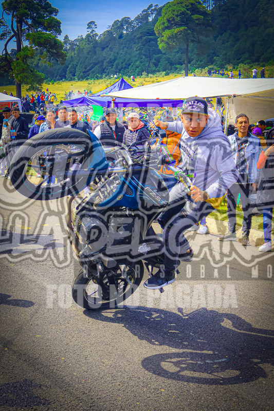 PL2 3039 — Postimages