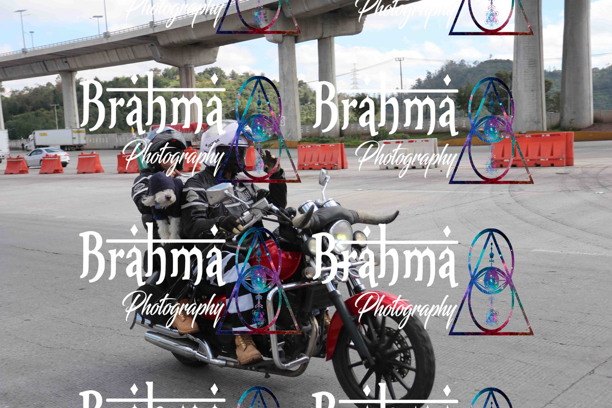 IMG 0348 — Postimages