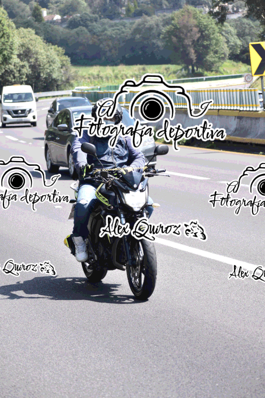 DSC 1095 — Postimages