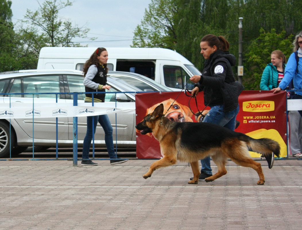 IMG 2220 1 — Postimages