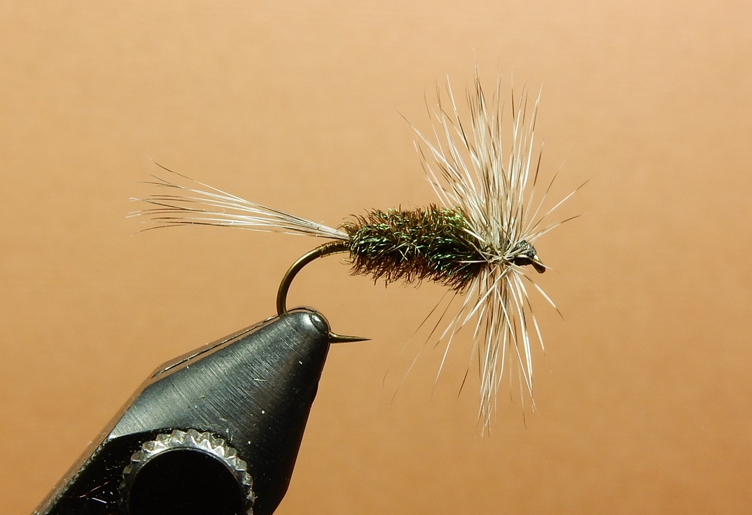Gray Hackles - Fly Tying - Maine Fly Fish