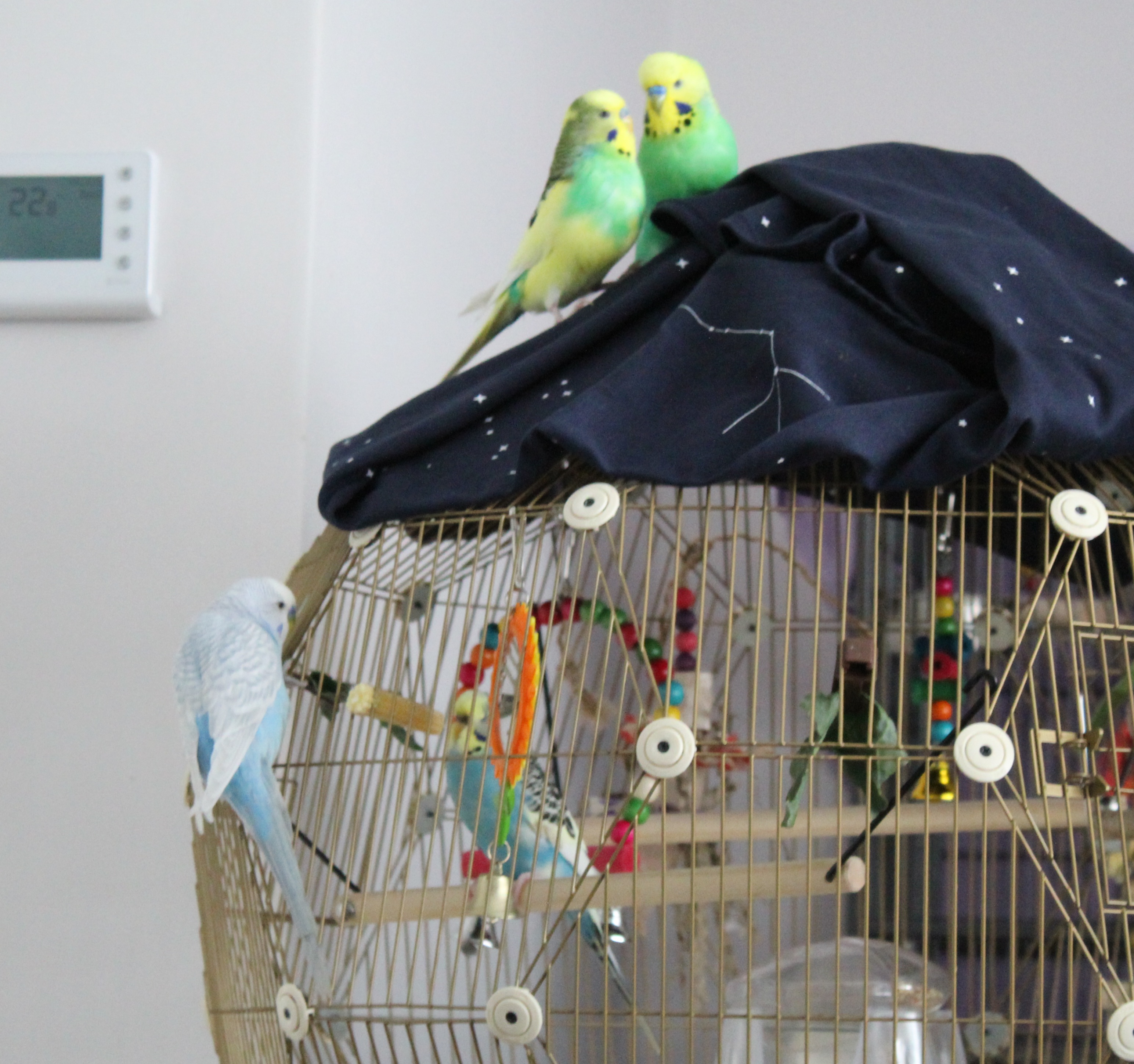 20230724123232 IMG 0587 — Postimages