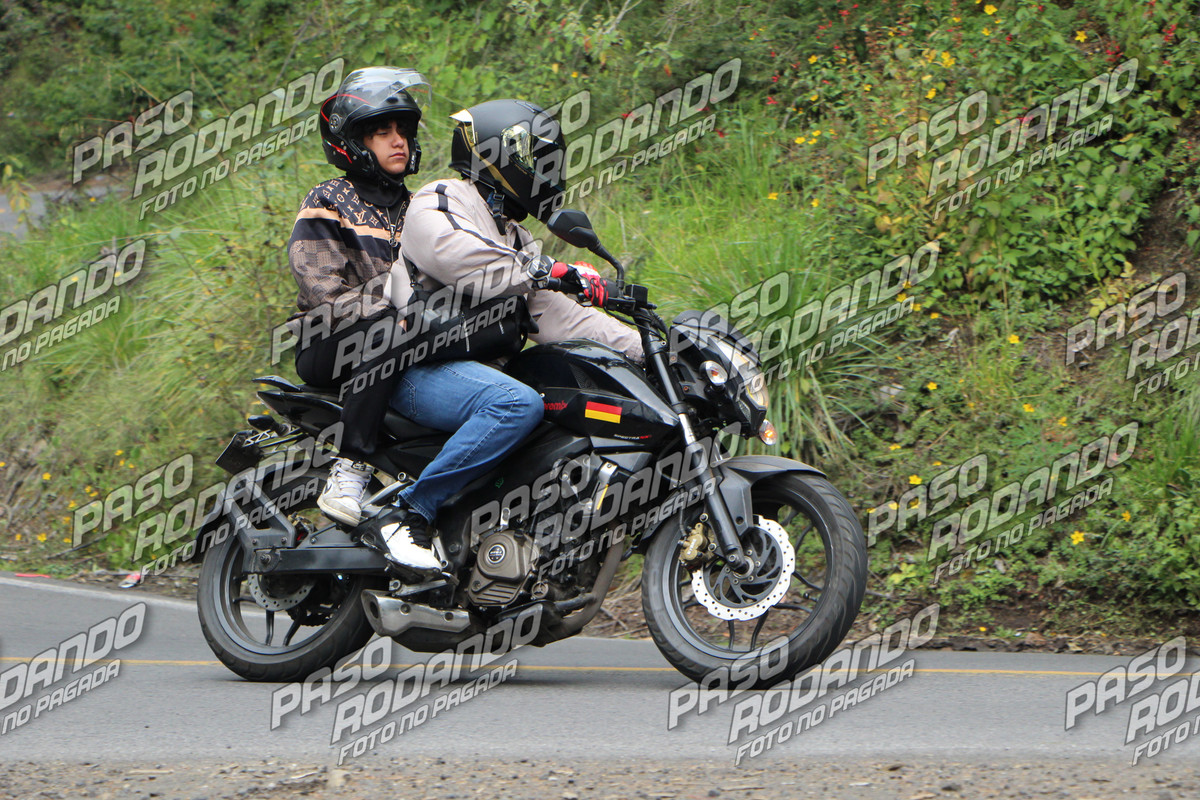 IMG 9302 wm 1929366 5 watermarked — Postimages