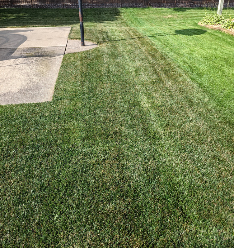 PGR Bronzing? Browning after HOC change? | Lawn Care Forum