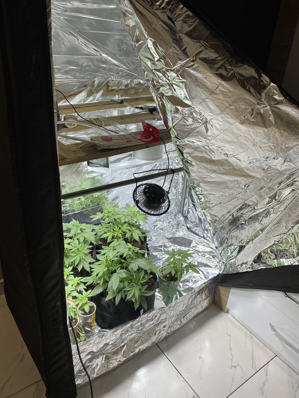 IMG 7002 — Postimages