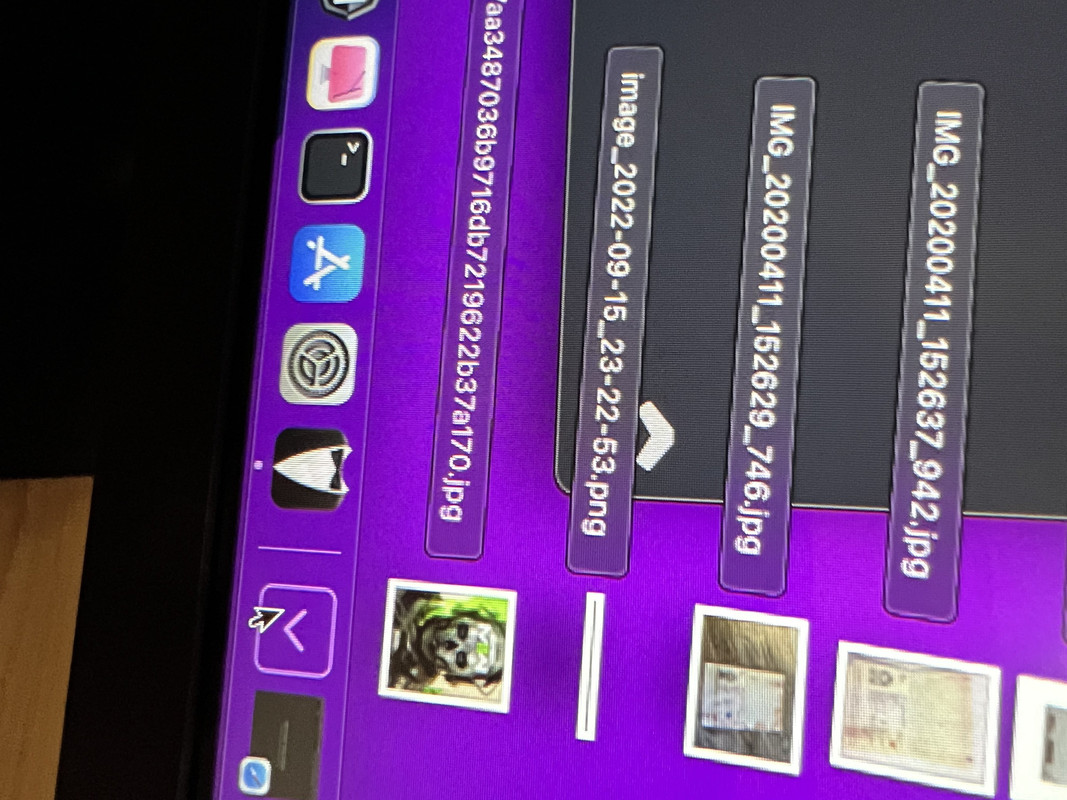 IMG 8511 — Postimages