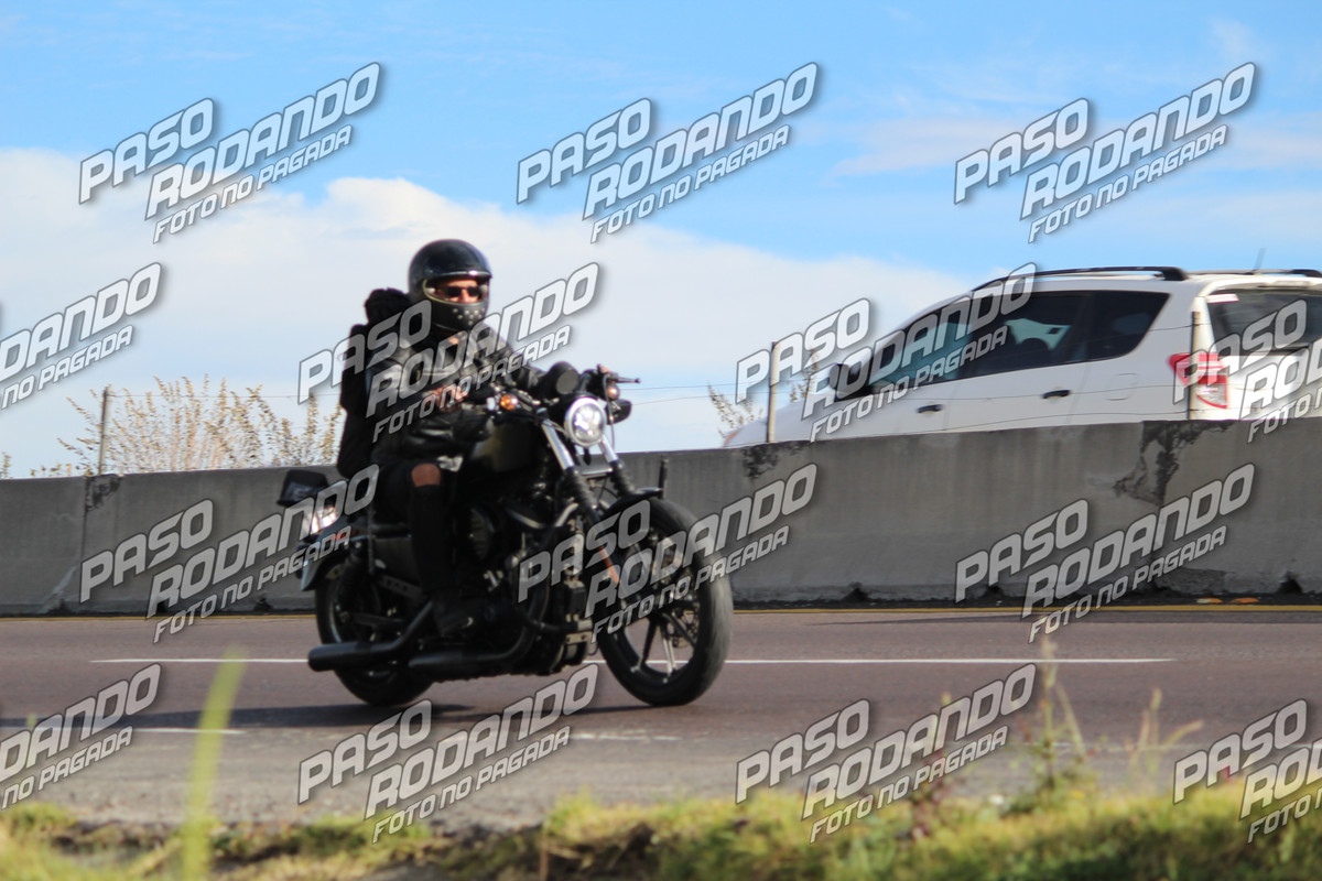 IMG 6546 wm 9083585 700000001 watermarked — Postimages