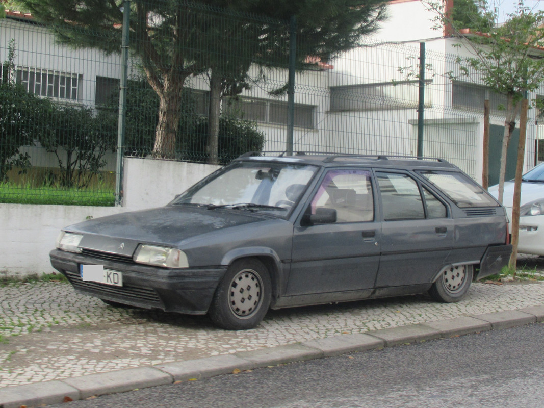 IMG 6774 — Postimages