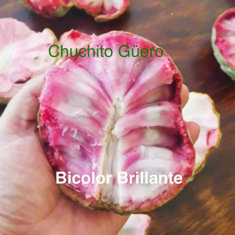 Messenger creation 192 F0126 D587 421 F 9620 501 BC43 FACC4 — Postimages