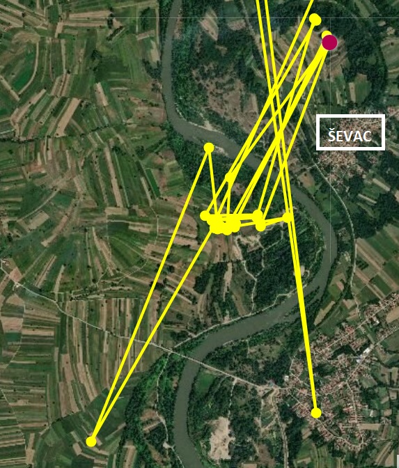 Black Stork Tracks - Page 524 - Looduskalender