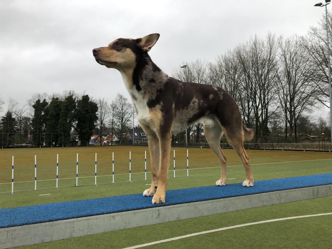 78 C7 EEDE 96 F5 4 FD9 ABA9 D58007917 BF1 — Postimages