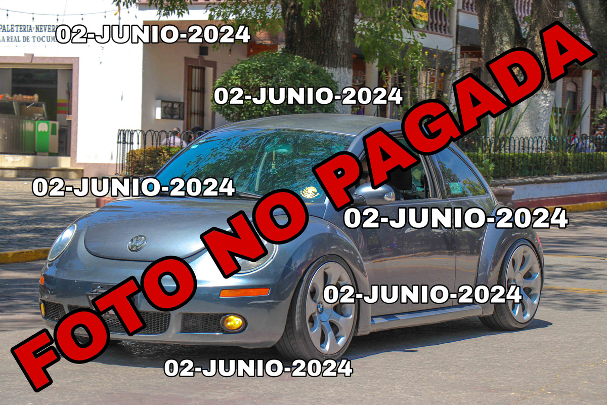 CV 273 — Postimages