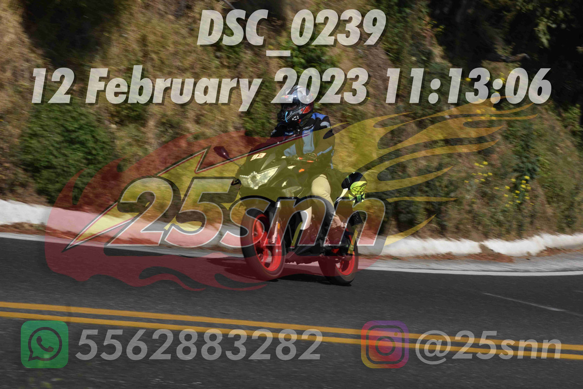 DSC 0239 — Postimages