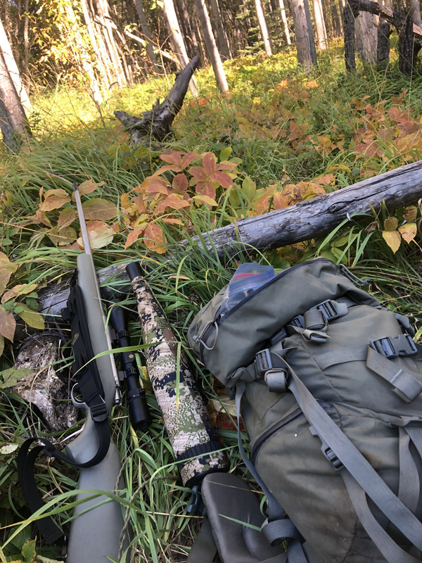 IMG 1203 — Postimages