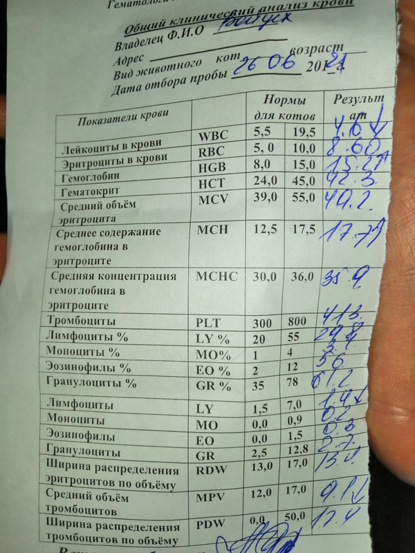 IMG 20210626 102408 — Postimages