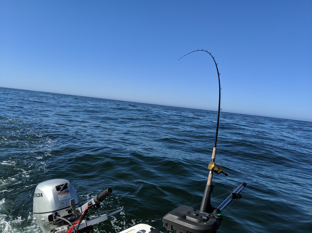 Got Bivalves? - 24hourcampfire