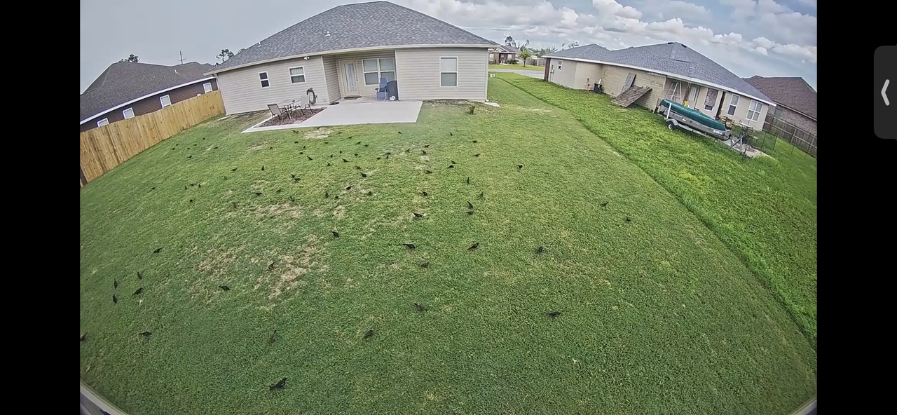 463061 DD D172 43 B2 B6 BF 04 F27 B5 A0 A7 E — Postimages