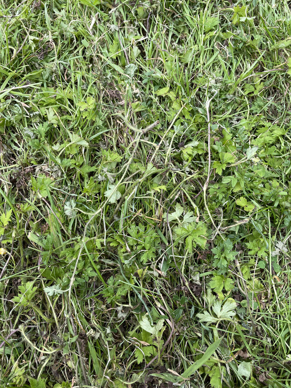 E1 B4 AA26 B616 4 CA8 BBC2 03 CE9 ADC8317 — Postimages