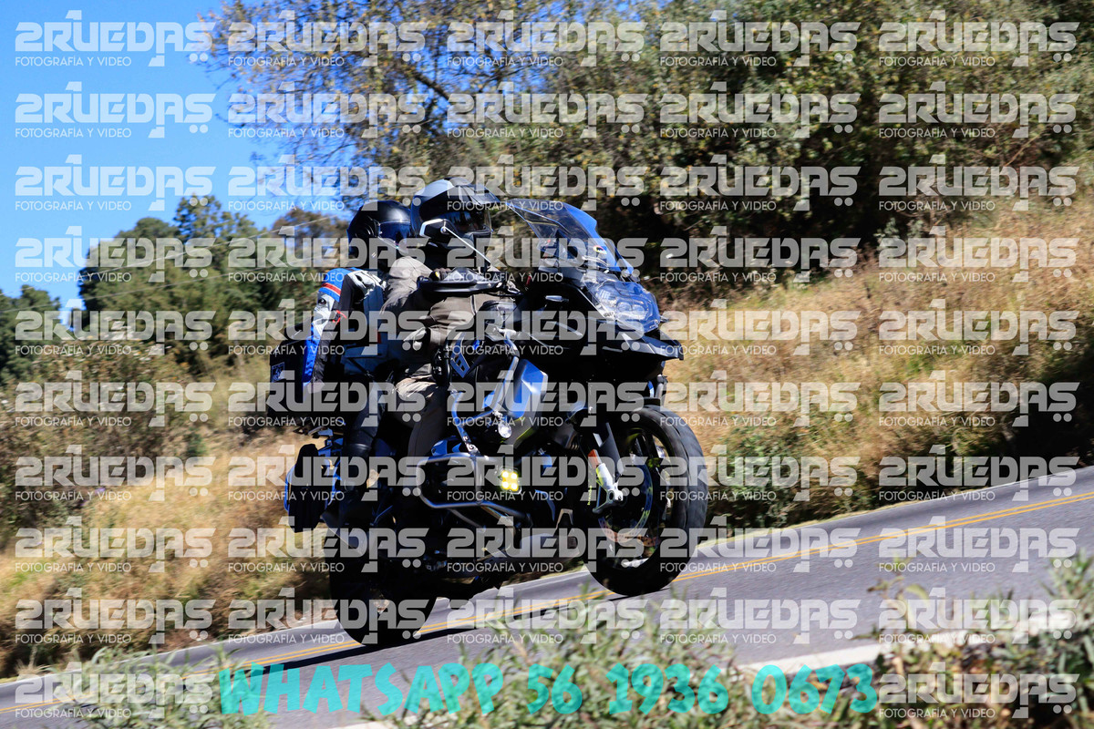 MG 0094 — Postimages