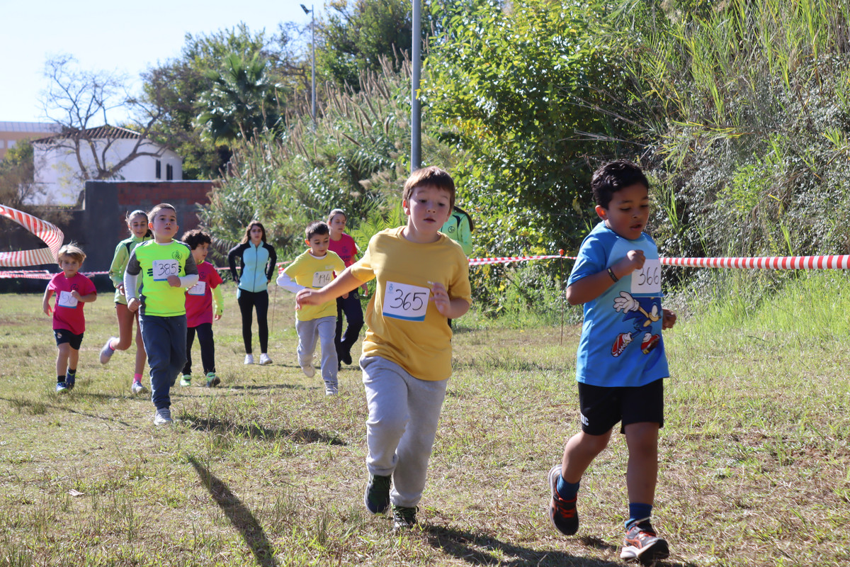 IMG 0604 — Postimages