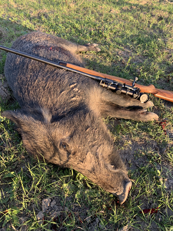 F72421 F7 CC56 4459 B3 DF 394127 BEE2 A3 — Postimages