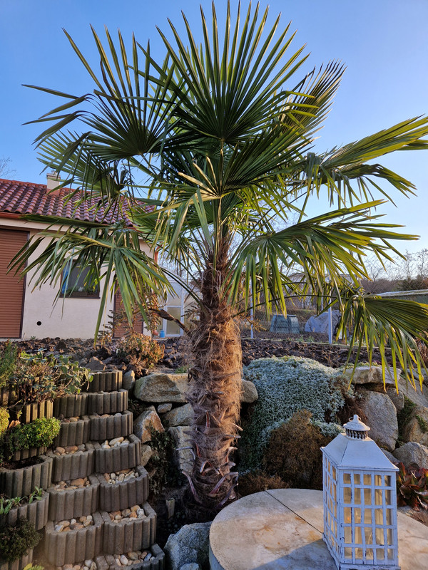 20221225 085236 — Postimages