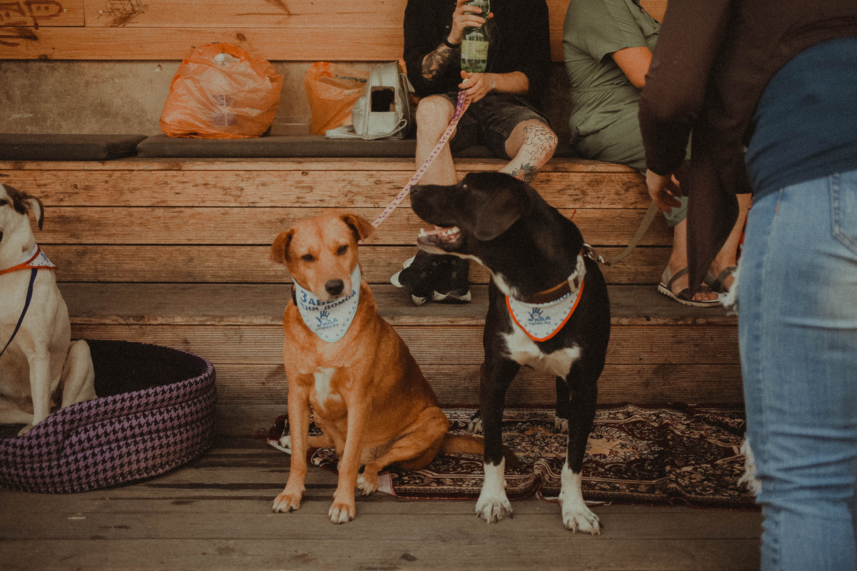 IMG 3010 — Postimages