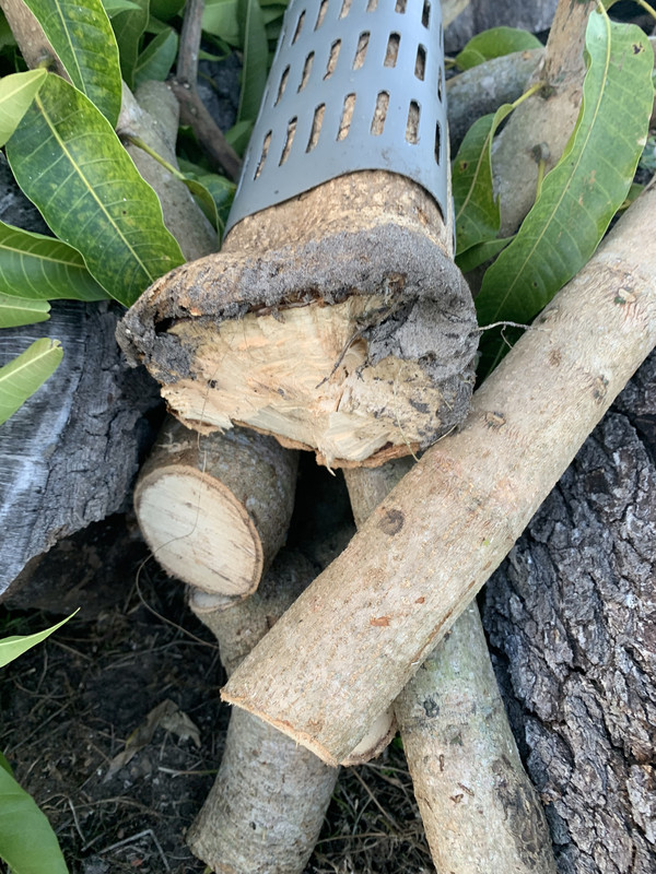 FA9 C8 BD3 55 C4 40 BE B0 BB 45 B842026 A5 B — Postimages