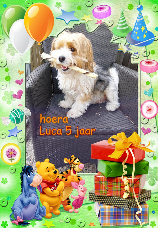 Luca 5 jaar — Postimages