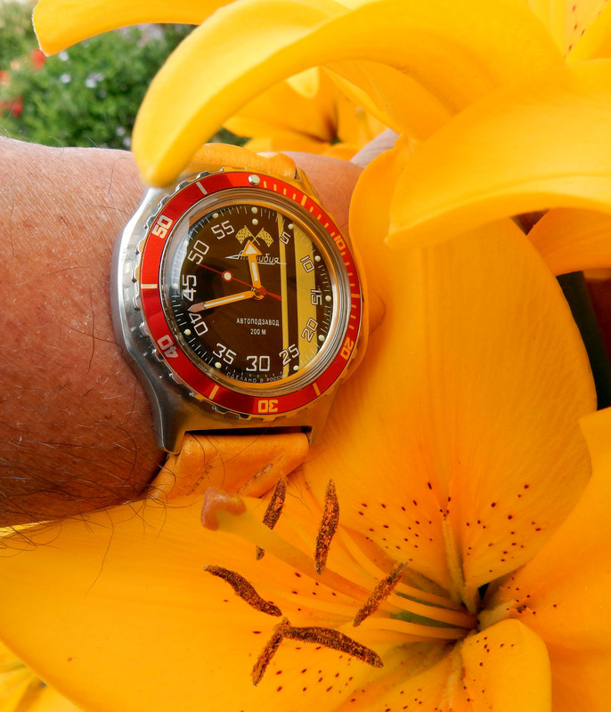 YELLOW 100 C — Postimages