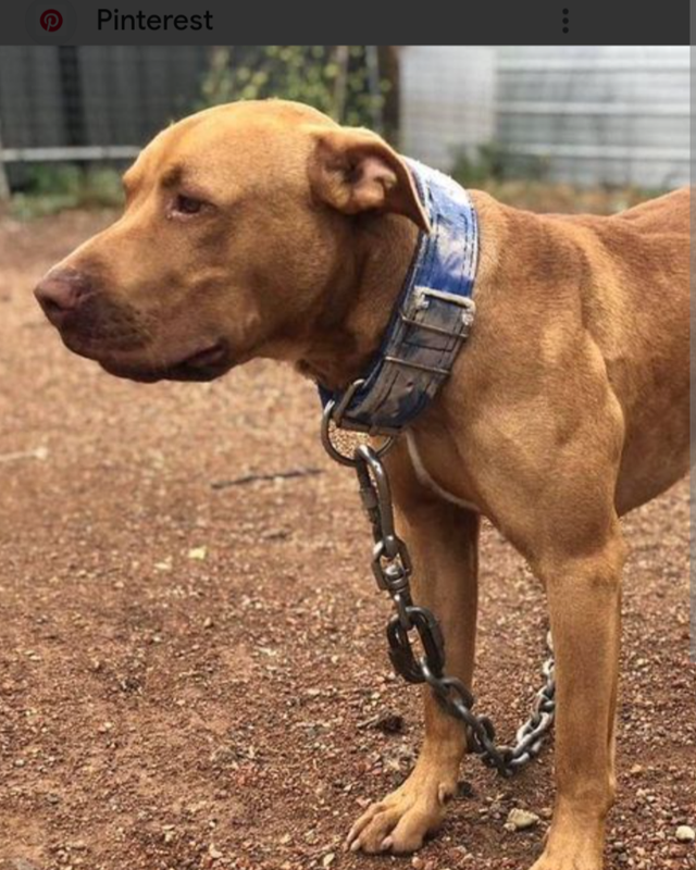 Screenshot 20250505 203950 — Postimages