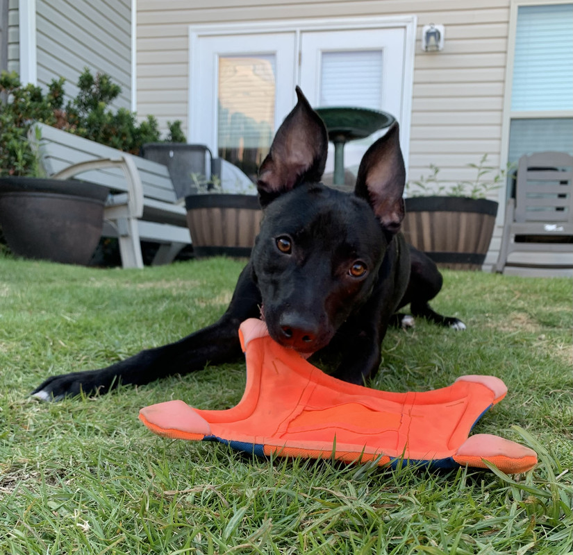 IMG 9159 — Postimages