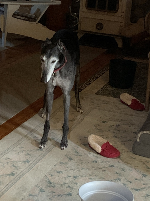 IMG 2213 — Postimages