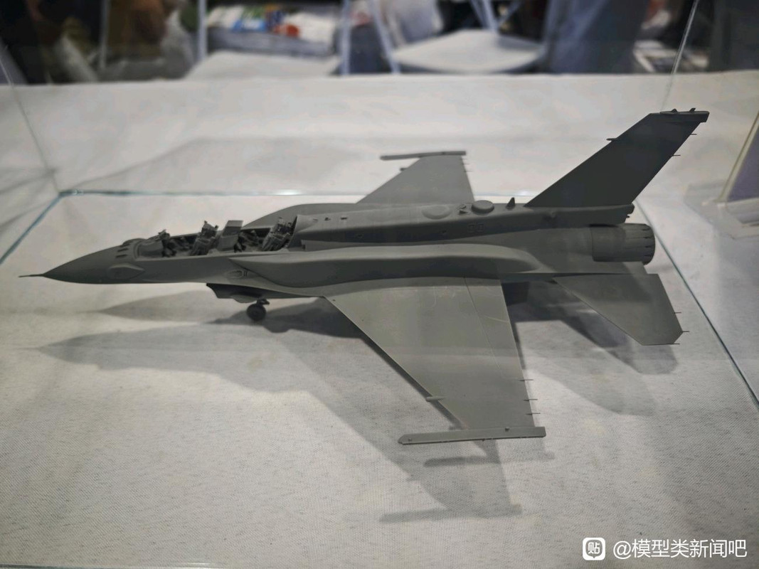 1/48 - GD/LM F-16 Fighting Falcon/Viper family by Great Wall Hobby (GWH ...