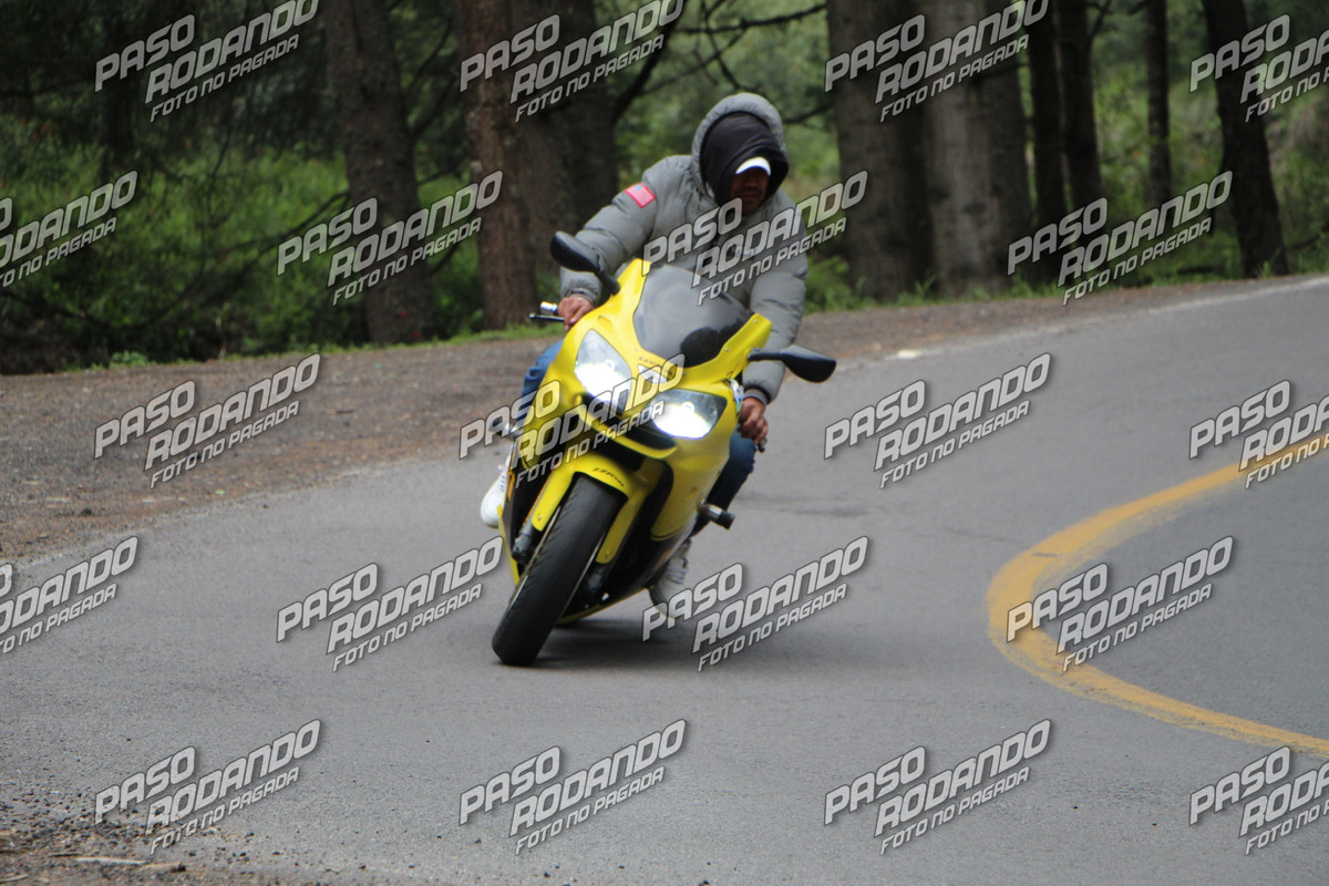 IMG 1568 wm 2312433 7 watermarked — Postimages